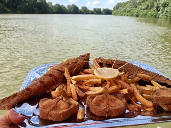 Hekk: Hungary’s Favorite Saltwater Fish - Taste Hungary